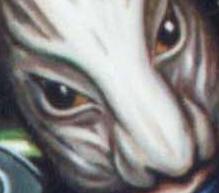 RABBIT – DAVID Morris | Art